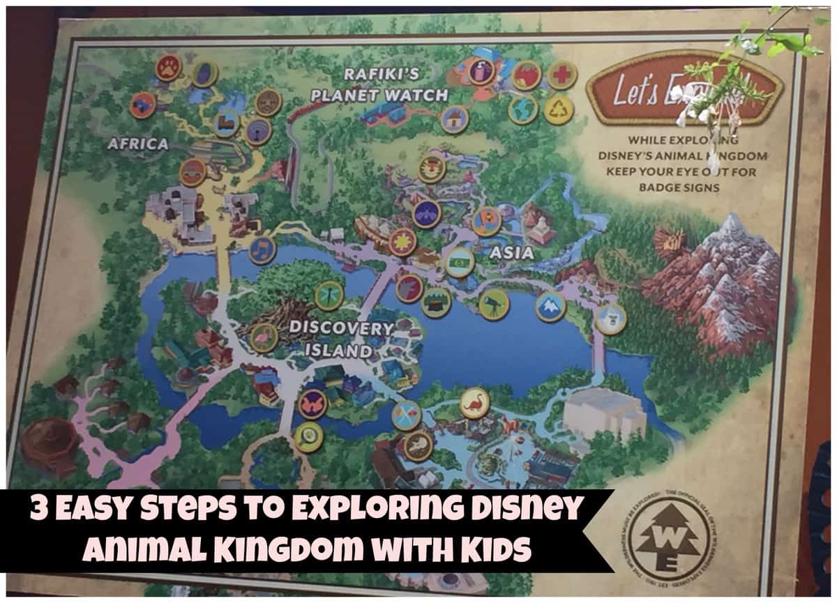 3 Easy Steps to Exploring Disney Animal Kingdom with Kids - A Sparkle ...