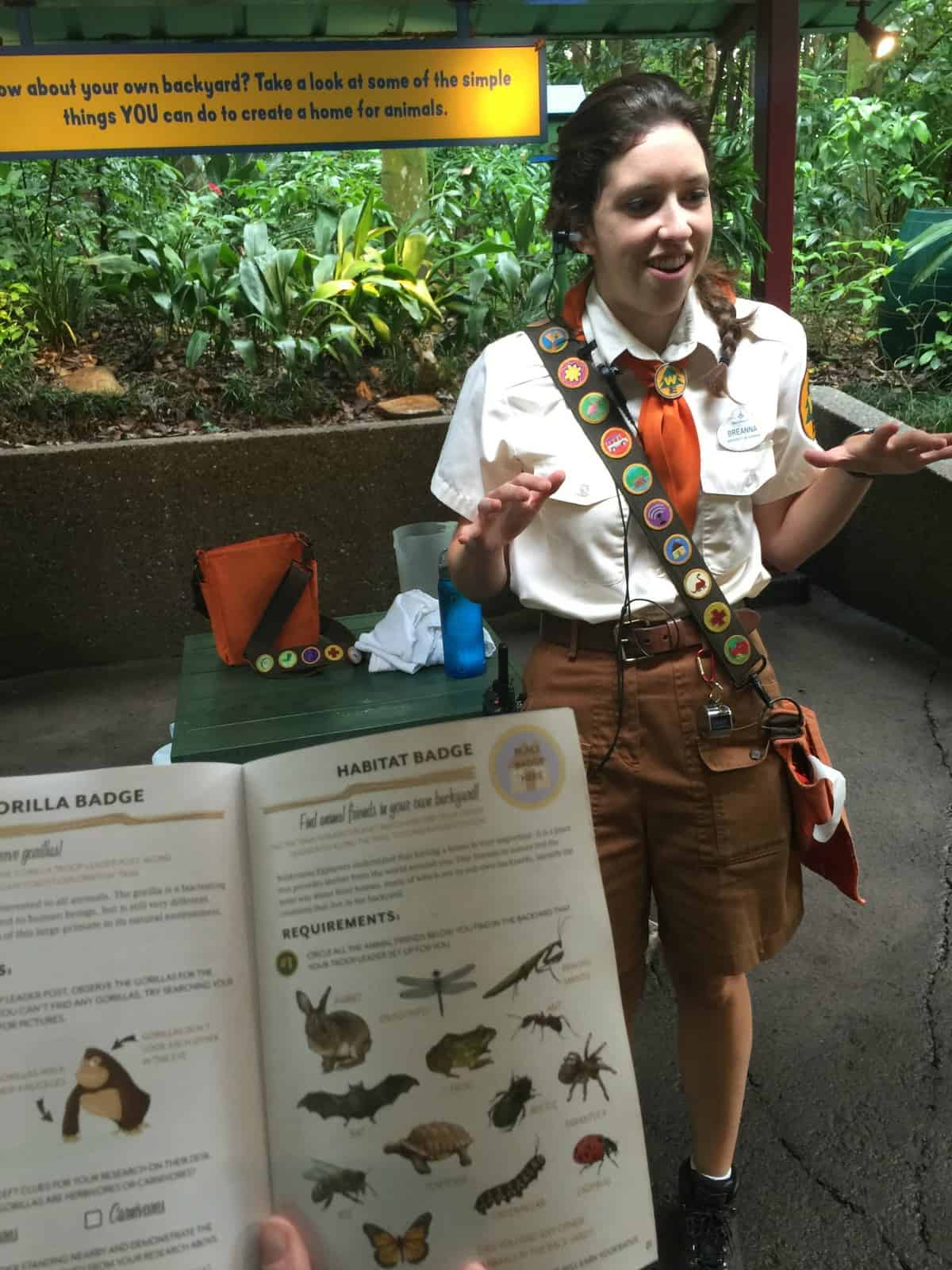 3 Easy Steps to Exploring Disney Animal Kingdom with Kids - A Sparkle ...