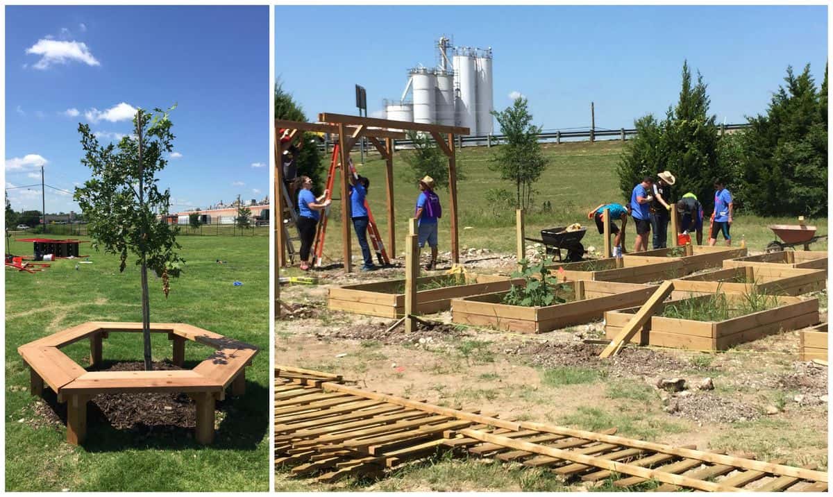 Let's Play Dallas Playground Build - A Sparkle of Genius