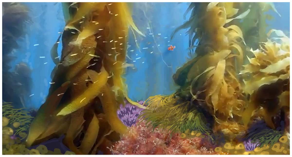 Finding Dory- Dory's Story