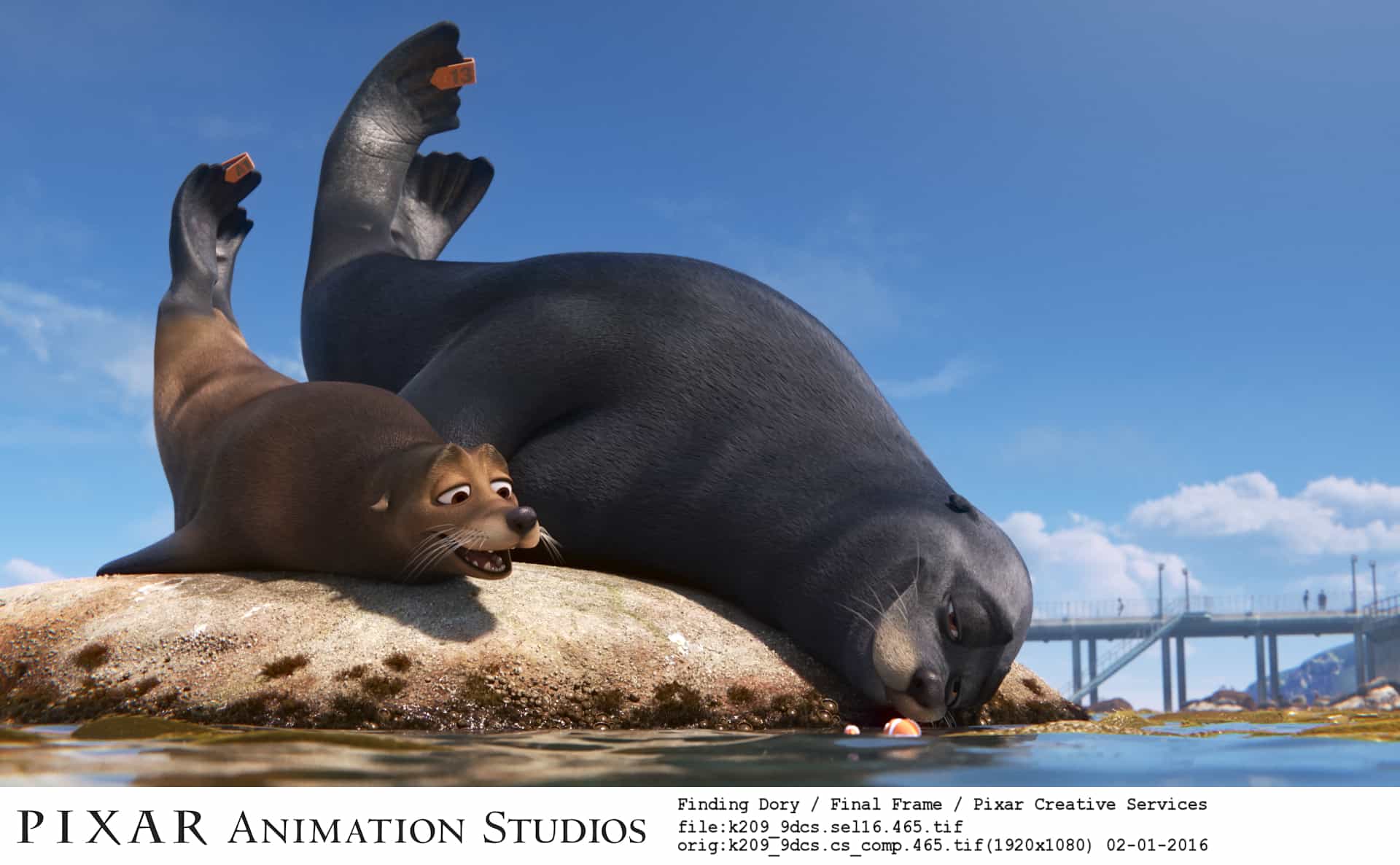 Check out these Disney's Finding Dory Easter Eggs