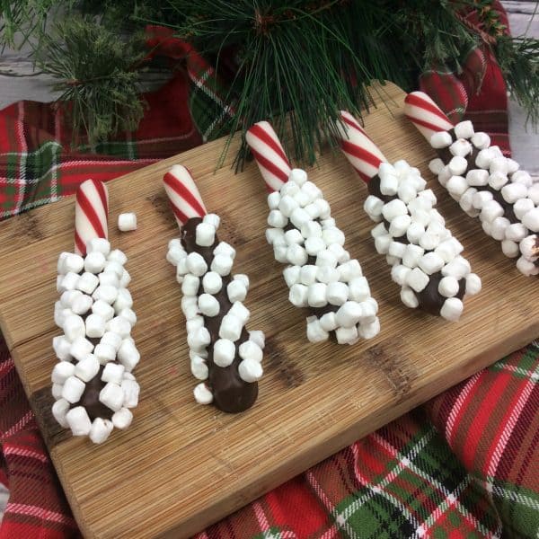 Holiday chocolate covered peppermint sticks