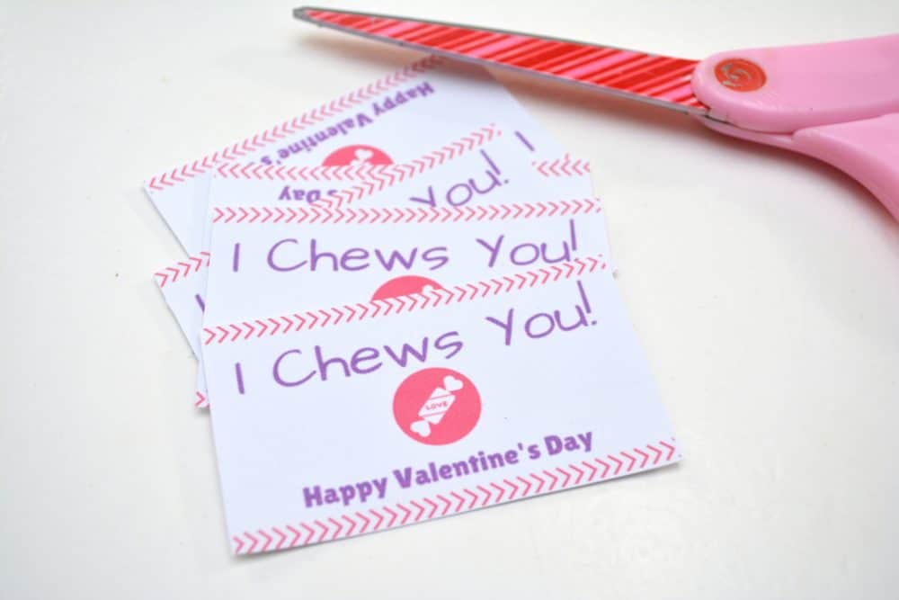 I Chews You Valentine- I Chews You Valentine Craft and Free Printable