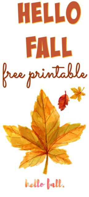 Don't forget to download your Adorable Hello Fall Free Printable