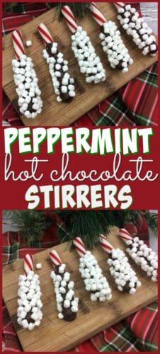 Holiday chocolate covered peppermint sticks