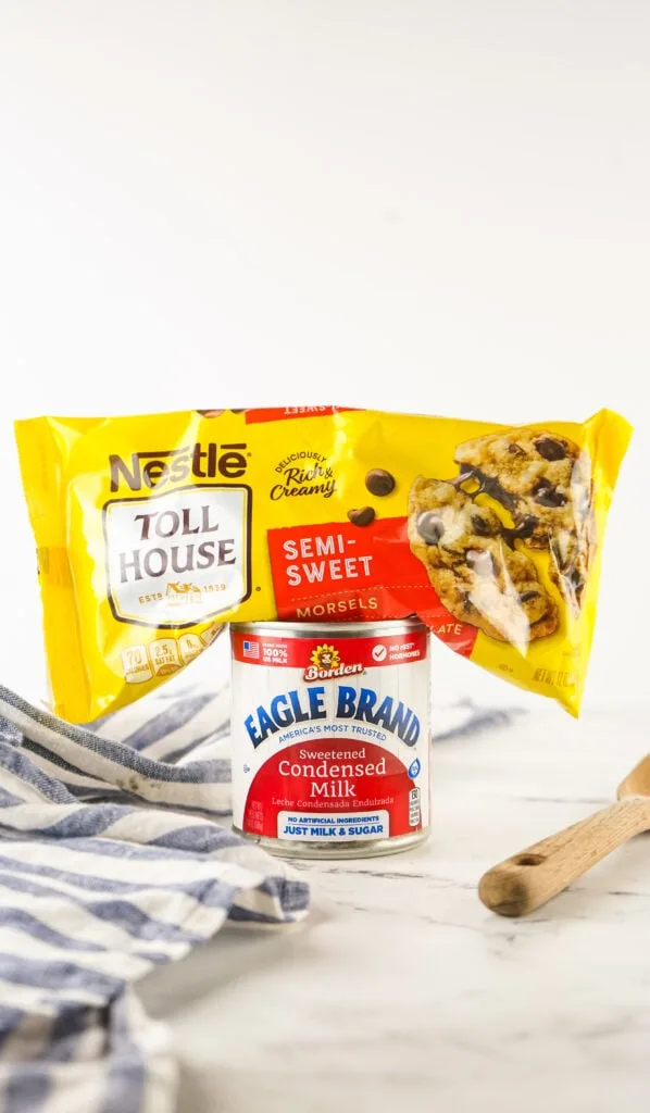 2 Ingredient Chocolate Fudge easy recipe - A Sparkle of Genius