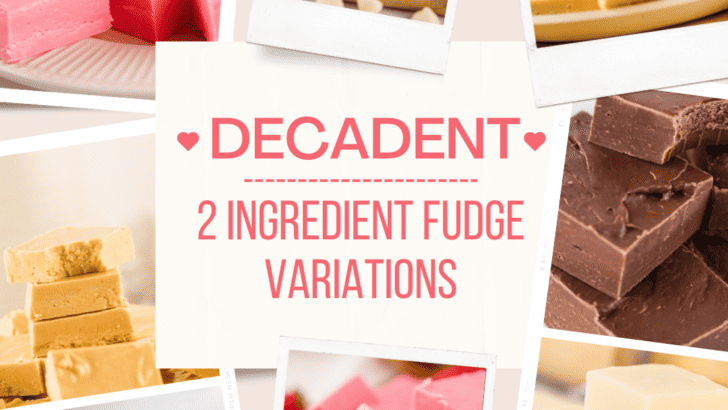 2 Ingredient Chocolate Fudge easy recipe - A Sparkle of Genius