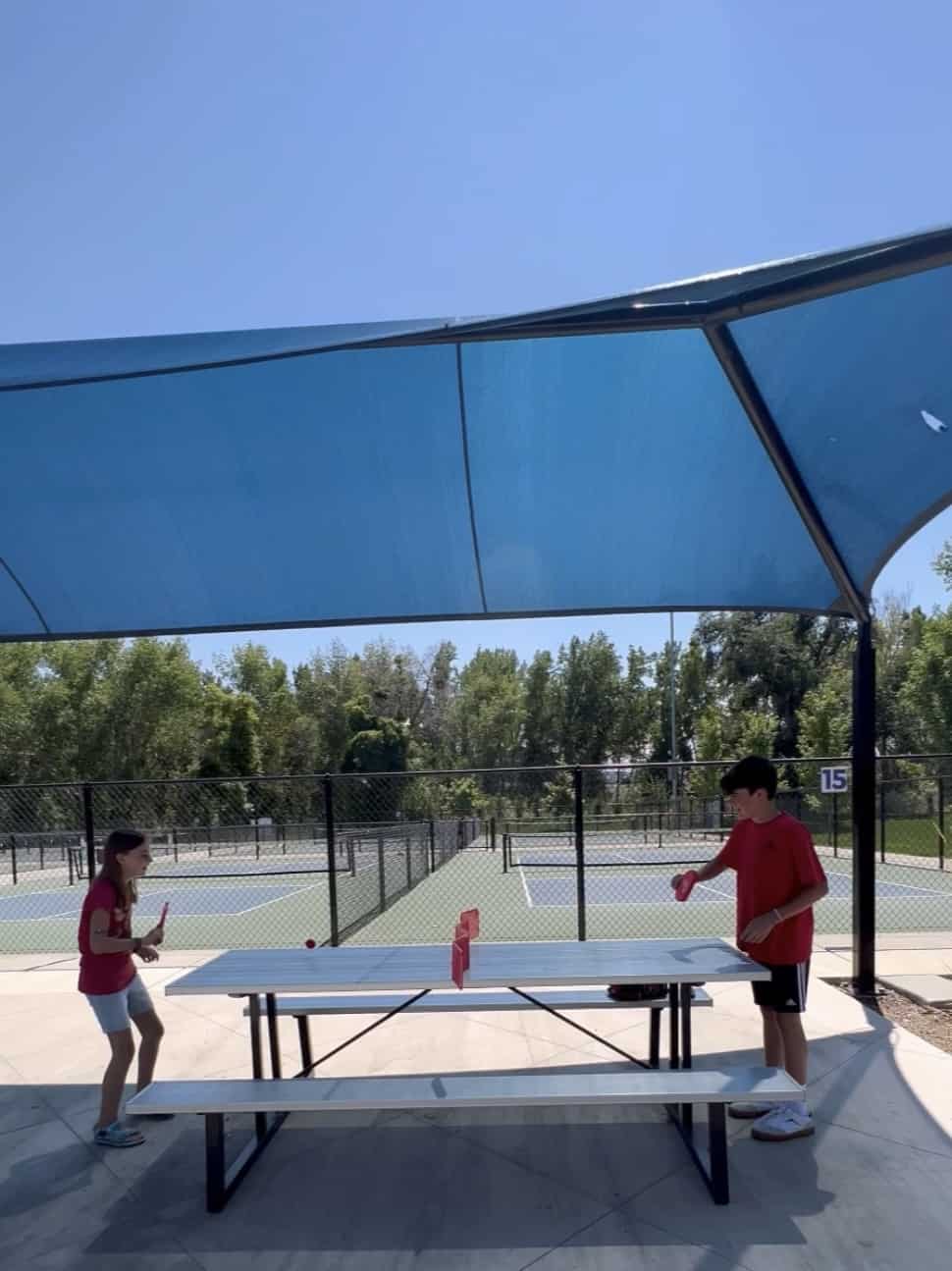 Portable Pickleball Alternative: Introducing Pepper Pong