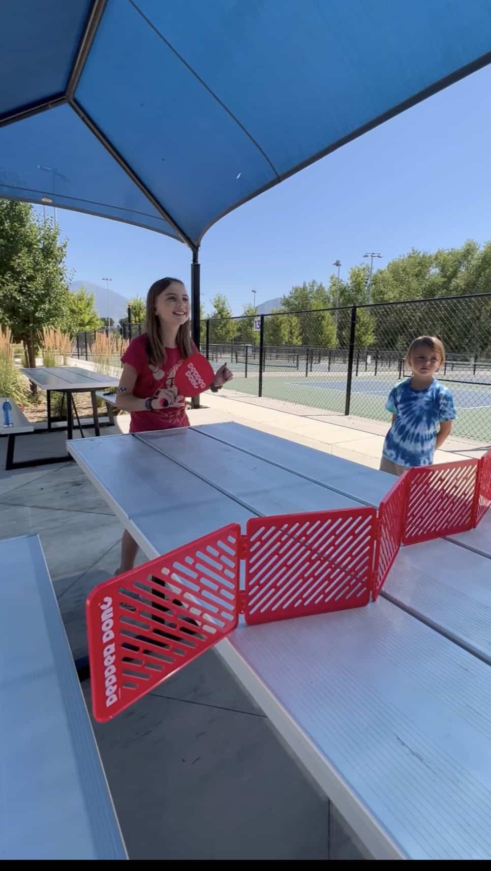 Portable Pickleball Alternative: Introducing Pepper Pong