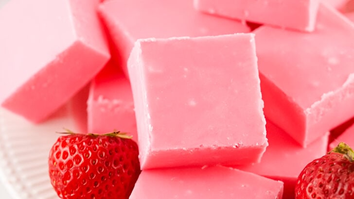 2 Ingredient Chocolate Fudge easy recipe - A Sparkle of Genius