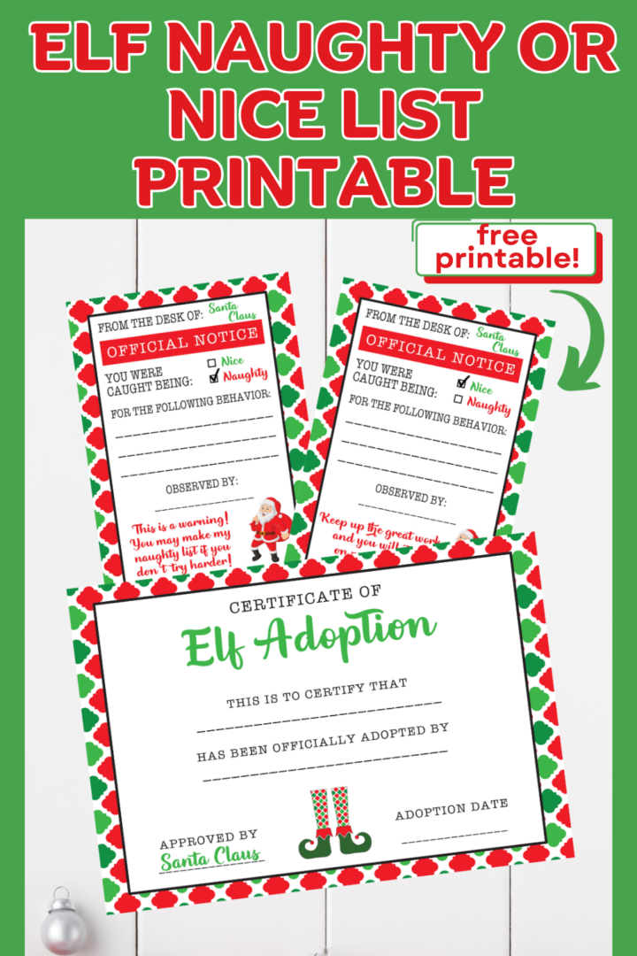 Elf Naughty or Nice List Printable (Elf on the Shelf) - A Sparkle of Genius