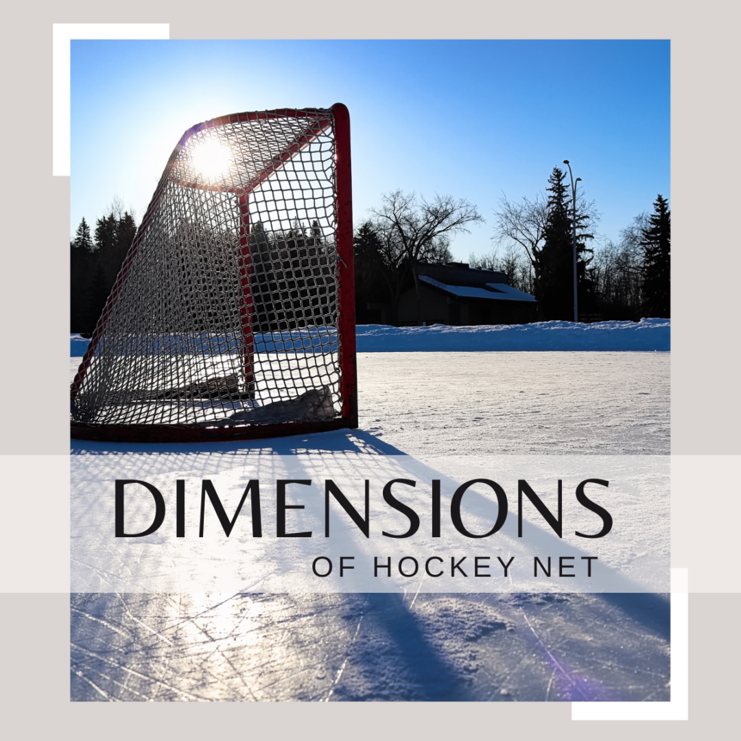 Exploring the Dimensions of Hockey Net - A Sparkle of Genius