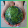 Earth Day Slime - Earth Day Slime Sensory Play Idea for Kids