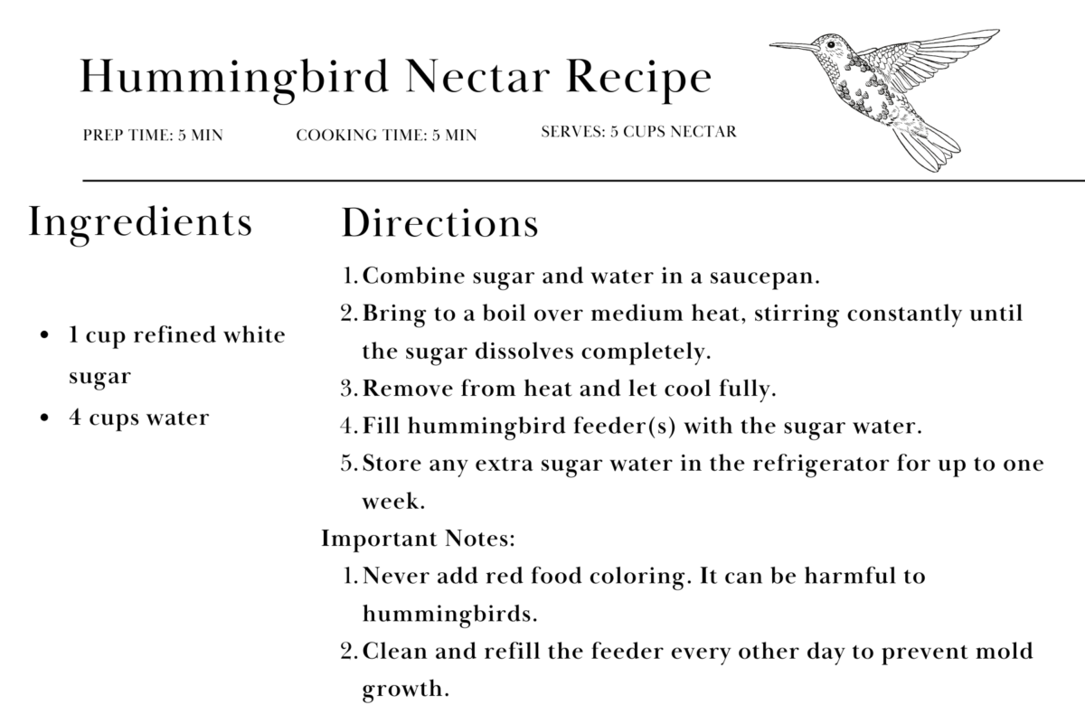 Printable Hummingbird Nectar Recipe (Best Tips) - A Sparkle of Genius