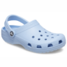 Why do crocs have holes and Surprising Fun Facts - A Sparkle of Genius
