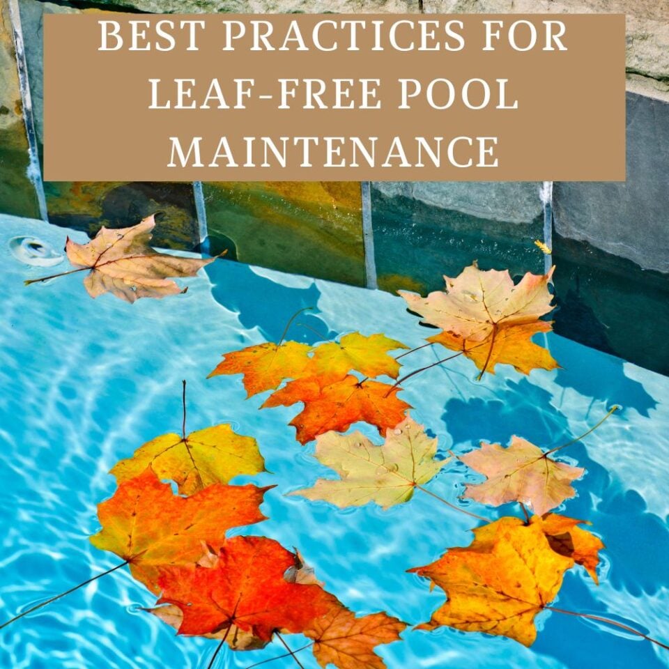 Best Way to Keep Leaves Out of Your Pool - A Sparkle of Genius