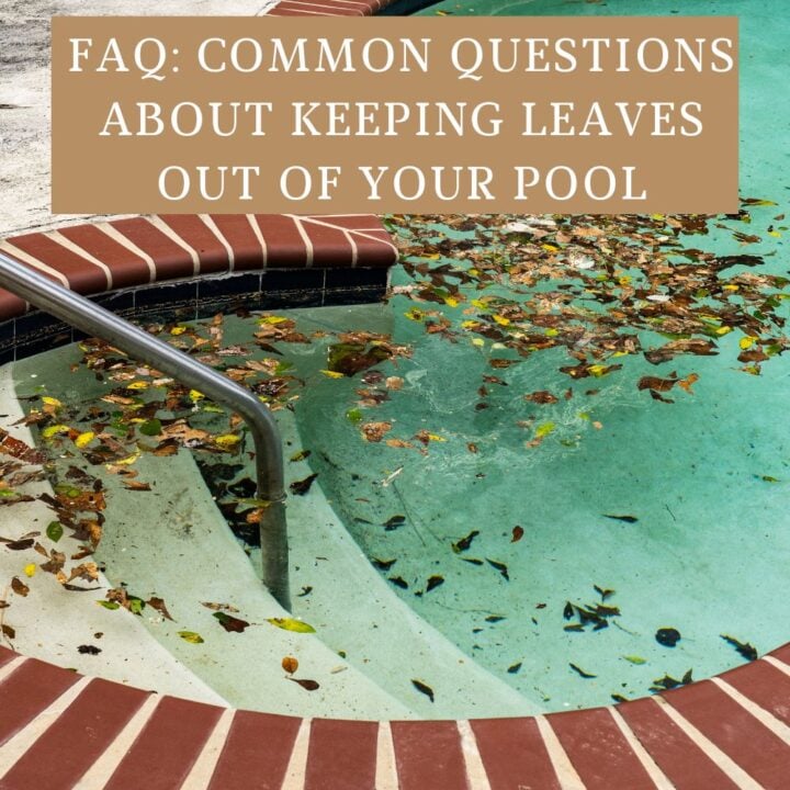 Best Way to Keep Leaves Out of Your Pool - A Sparkle of Genius