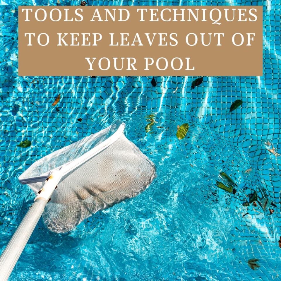 Best Way to Keep Leaves Out of Your Pool - A Sparkle of Genius