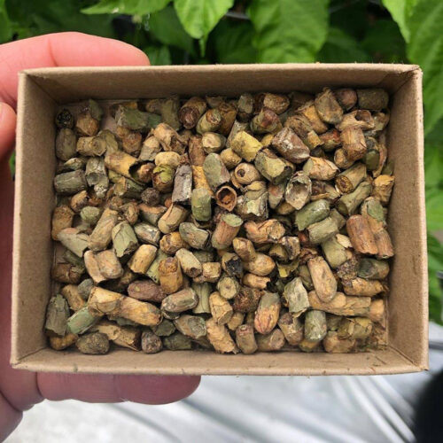 Affordable Bee House with Bees: Kit & Steps to Start - A Sparkle of Genius