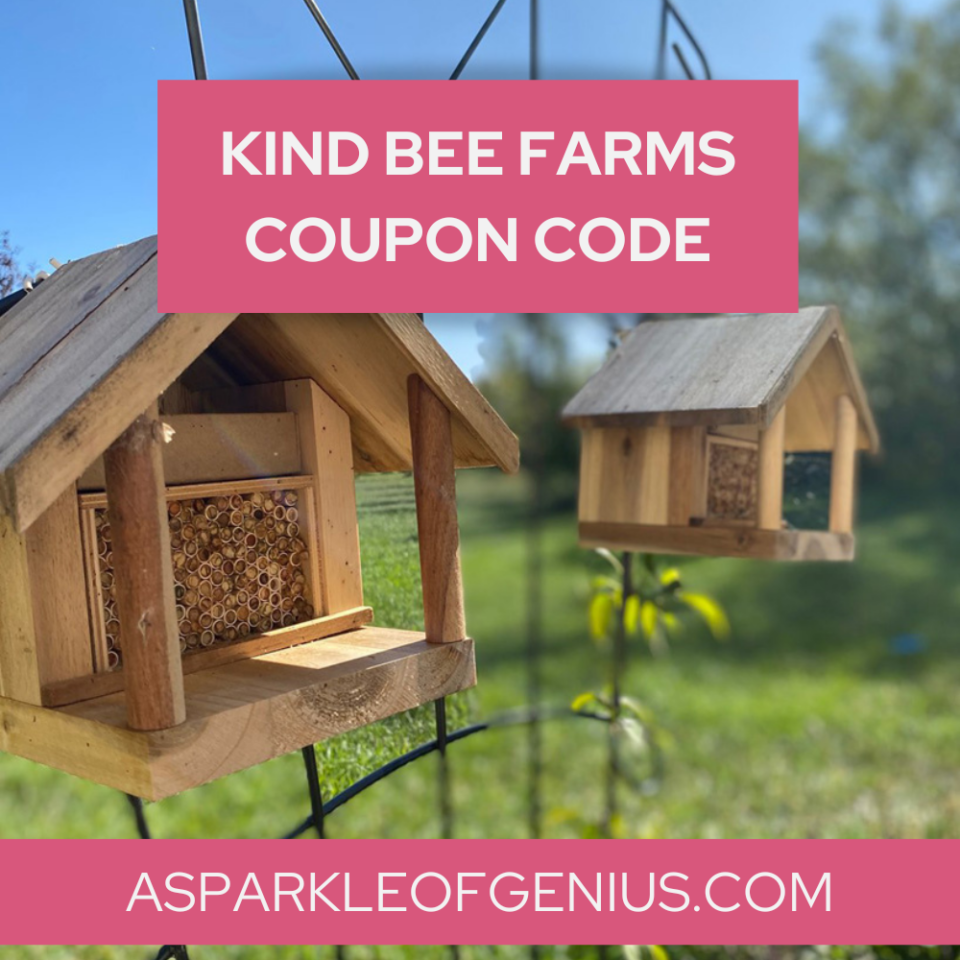 Kind Bee Farms coupon Code -Discount Promo codes for bees - A Sparkle ...